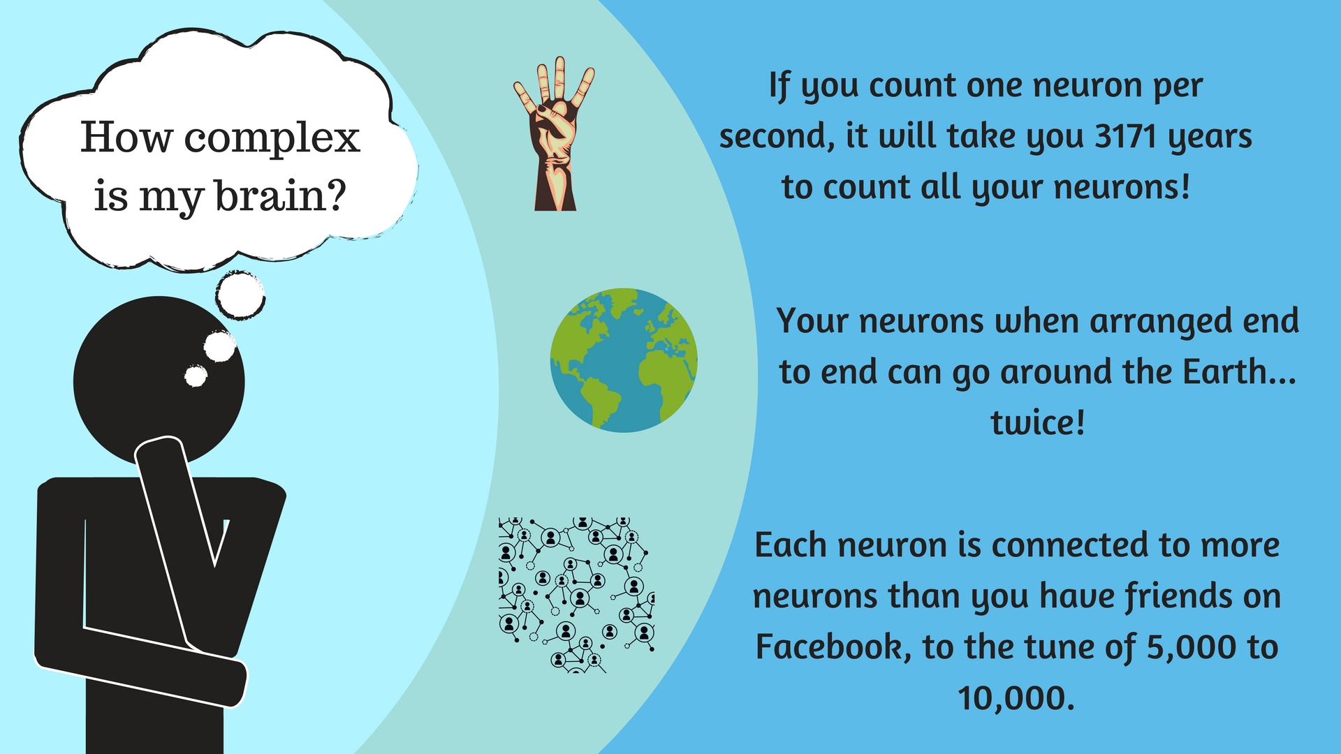 The inner workings of the human brain | Research Matters