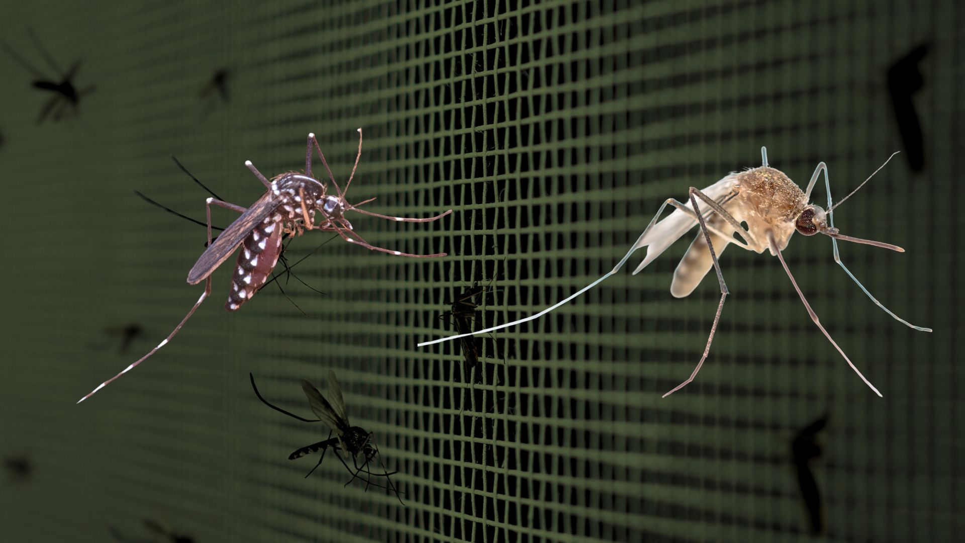 Nokia and NASA Plan 4G Network on the Moon: Prospects and Challenges in ...